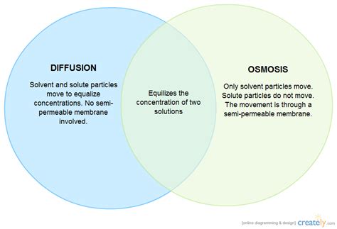 Diffusion Vs Osmosis Venn Diagram Creately