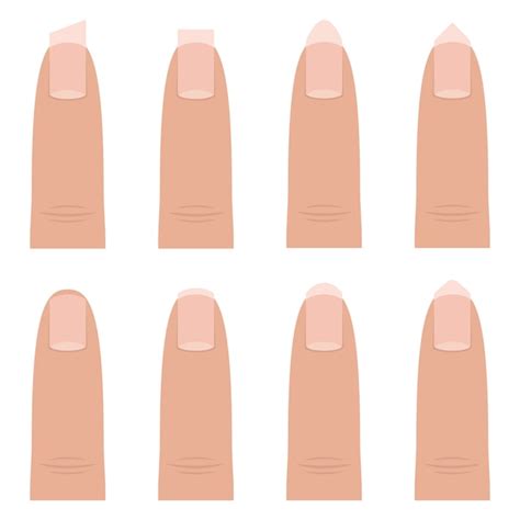여성 손톱 모양 디자인 일러스트 레이 션 흰색 배경에 고립 프리미엄 벡터