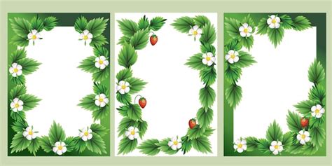 Premium Vector Set Of Strawberry Frames