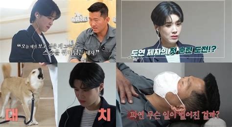 피 많이 나 강형욱 역대급 입질견 훈련 중 병원行 머니s
