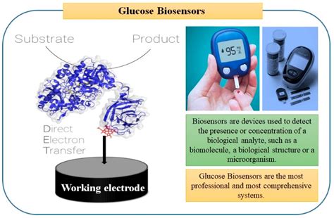 Electrochemical Sensors Biosensors And Their Biomedical Applications At