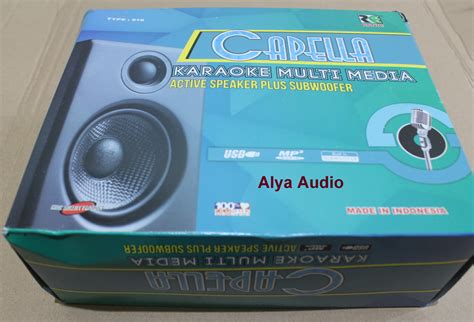 Capella-1 | "ALYA Audio" Elektronik