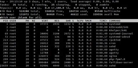 A Guide To The Linux Top Command Boolean World