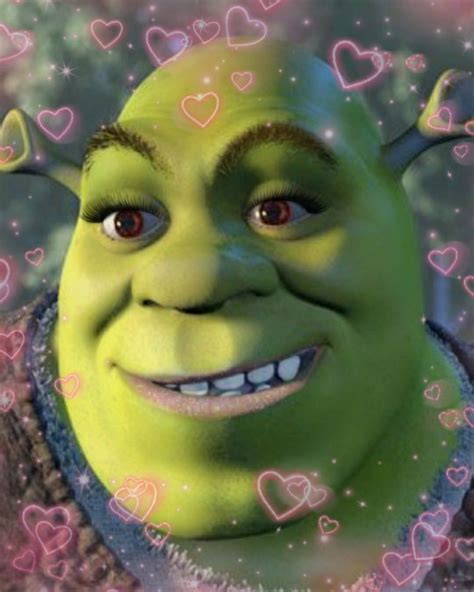 57 Shrek ý Tưởng Hài Hước ảnh Vui Hình ảnh