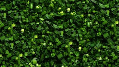 부추를 이렇게 만들면 모두가 깜짝 놀라서 밥 두 공기 먹어요 맛이 대박인 부추짜박이 이렇게 만듭니다 너무 쉽고 간단해요 Youtube