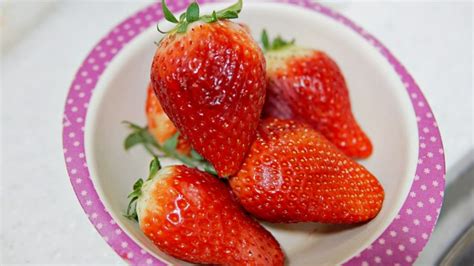 킹스베리 딸기 가격 산지직송 엑셀팜 킹스베리 네이버 블로그