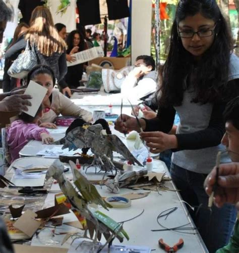 Ve Al Festival Día Mundial De Las Aves Migratorias En Ecatepec