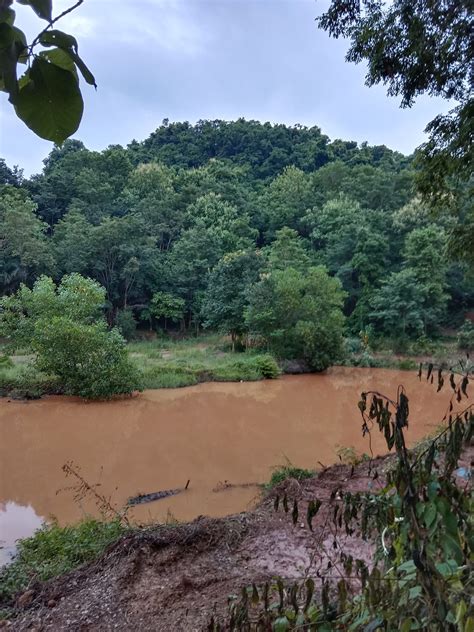 บรรยากาศยามเช้าวัดวังรีคีรีวันวนารา วัดวังรีคีรีวันวนาราม