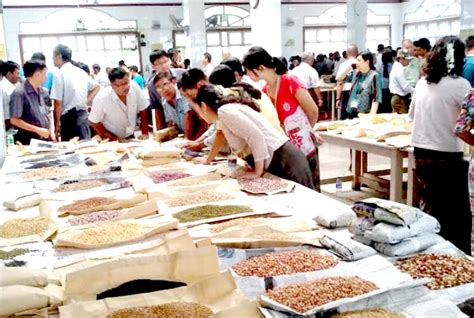 လက်ရှိဘဏ္ဍာနှစ် ၁၀ လအတွင်း ပြည်ပသို့ ပဲမျိုးစုံတင်ပို့မှုအနေဖြင့် ပင်လယ