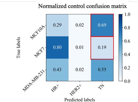 Figure 13 From Deep Learning Based Classification Of Breast Cancer