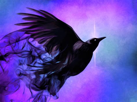 Raven Bird Art