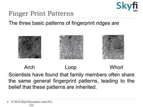 Skyfi Labs Biometric Authentication Ppt