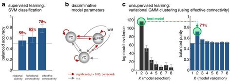 Model Based Classification And Clustering Of All Subjects Fig 4a Download Scientific Diagram