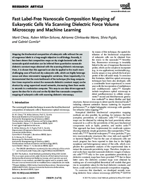Pdf Fast Label‐free Nanoscale Composition Mapping Of Eukaryotic Cells