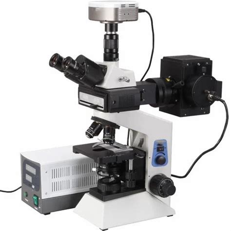 Fluorescent Microscope At ₹ 145000 Fluorescent Microscope In Chennai