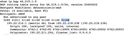 bgp looking glass bgp help
