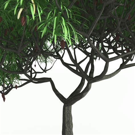 Everyplant Lepidodendron Aculeatum For Poser