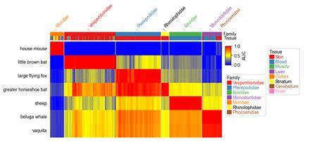 A Quick Example — Pycomplexheatmap 177dev0gddb18dad20240909