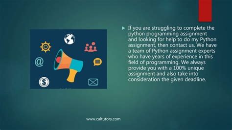Python Programming Assignment Help PPT