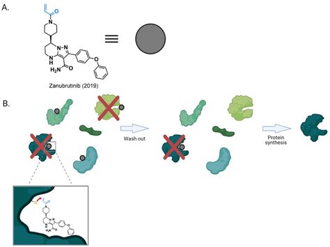 Figure 1 From A Primer On Harnessing Non Enzymatic Post Translational Modifications For Drug