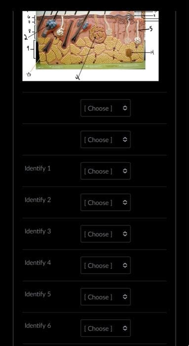 Solved Choose Choose Identify 1 Identify 2 Identify 3