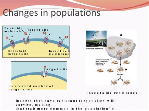 Evolution Of Populations Ppt