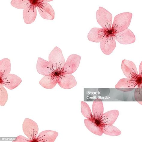 손으로 그린 수채화 벚꽃 섬세 한 꽃의 완벽 한 패턴입니다 일본 사쿠라 결혼식 초대장 직물 포장 직물 표지 엽서 종이 인사말 카드 및 블로그를 위한 디자인입니다 결혼식에