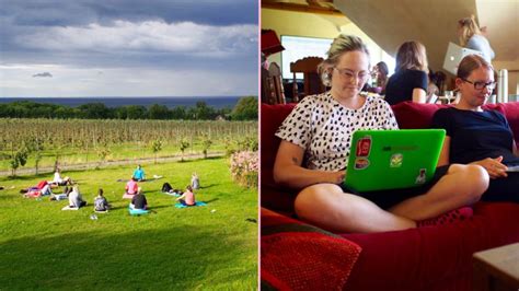 pink programming on linkedin pink programming camp backend programming with python