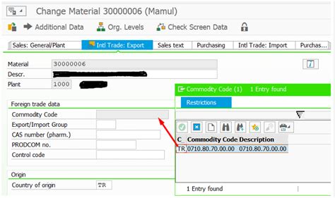 Solved Commodity Codes To Screen Data Entry In S Hana SAP Community