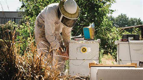 Precision Pollination National Nut Grower