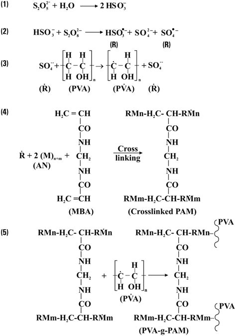 Reaction Schemes Showing The Graft Copolymerization Of Pam Onto The Pva Download Scientific