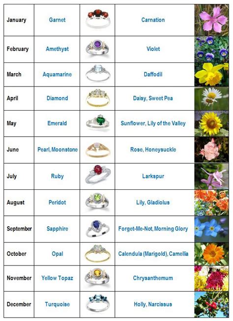 Birth Flowers For All 12 Months At Amber Jaramillo Blog