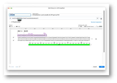 Snapgene 70 强势来袭！ 知乎