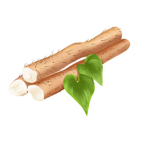 千库网 应季蔬菜山药秋天食物农作物 元素编号13317731