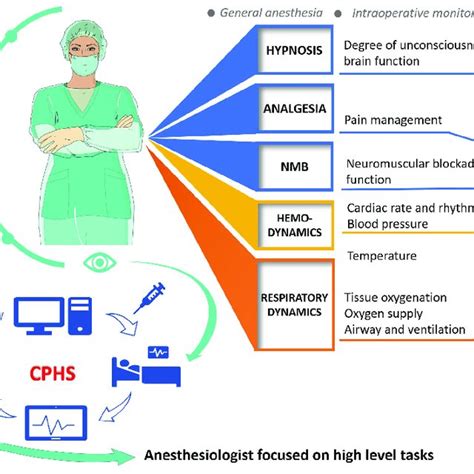 Pdf Closed Loop Control Of Anesthesia Survey On Actual Trends