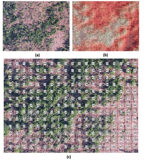 Representation Of The Map Precision A Detail Of The Area Obtain By Download Scientific