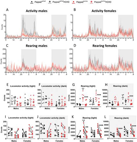 Alteration Of Igf 1 Bioavailability Due To Pappa2 Deficiency Leads To