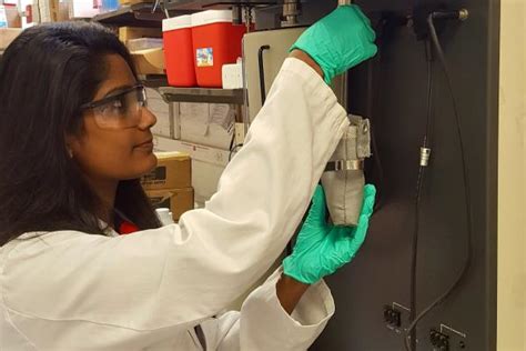 A Field Guide To Biochar Water Treatment Us Biochar Initiative