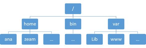 Basic Linux Lab Note For UMD BIOI