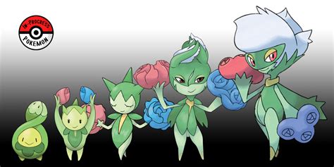 Pokemon Budew Evolution Chart Budew 400 Infinite Dex