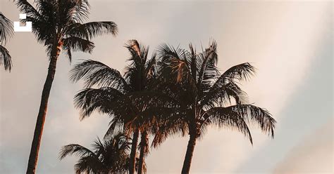 Plane Passing Overhead Photo Free Grey Image On Unsplash