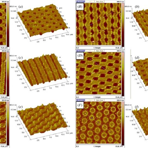 Two Dimensional Top View Images And Three Dimensional Topology Of The Download Scientific