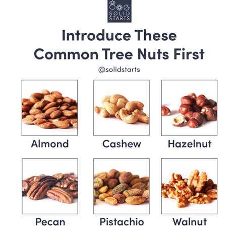 Tree Nut Identification Chart