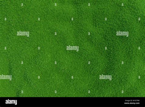 Natural Grass Texture Pattern Background Top View Grassy Lawn For