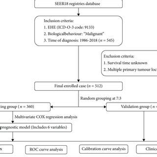 Overall Workflow Describing The Process Used To Establish And Validate Download Scientific