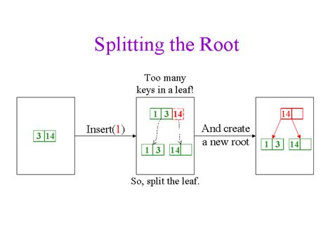 Splitting The Root