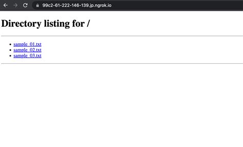 Linux Using Ngrok To Set Up A Temporary Server And Forward The Port