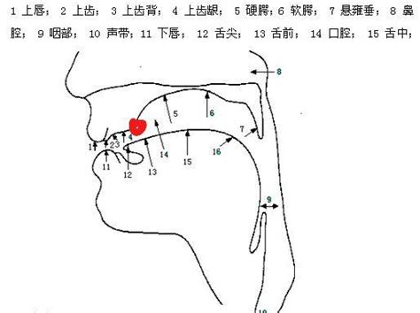 怎样大声说话 知乎