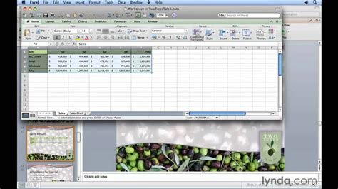 Excel 2011 Mac Tutorial Tampapor