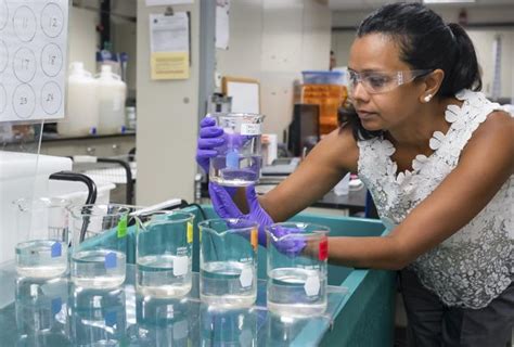 Ornl Values Ornl Ornl Values Ornl